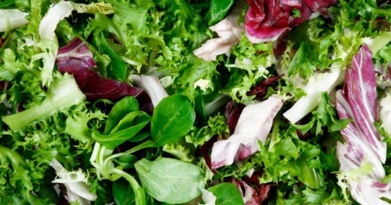 Salatsorten | Peters Blog