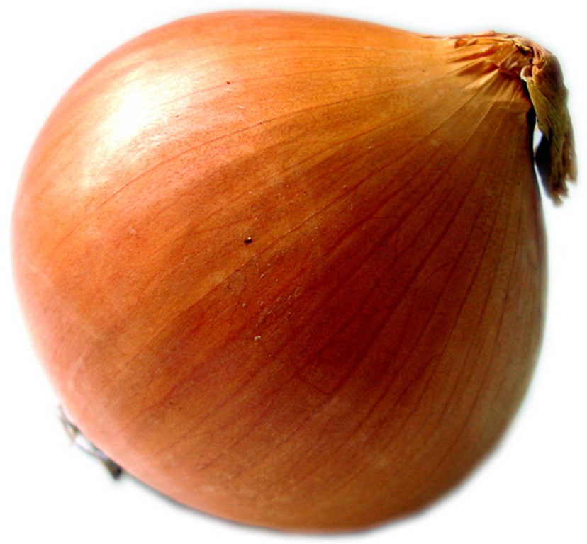 Zwiebeln, unterschätztes Gemüse | Peters Blog